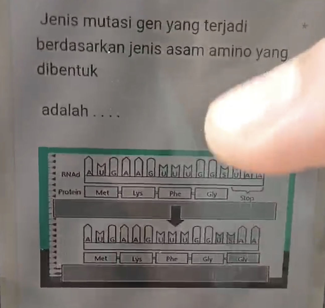 Jenis mutasi gen yang terjadi berdasarkan | StudyX
