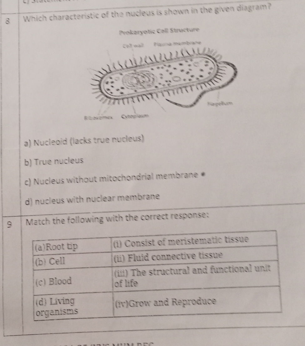 8 Which characteristic of the nucleus is | StudyX