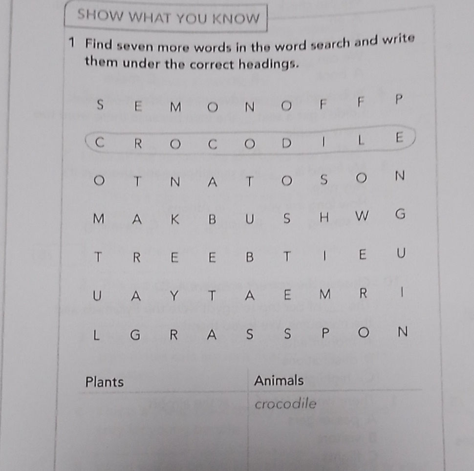 1 Find seven more words in the word search | StudyX