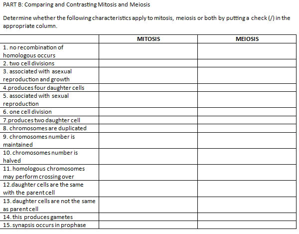PART B: Comparing and Contrasting Mitosis | StudyX