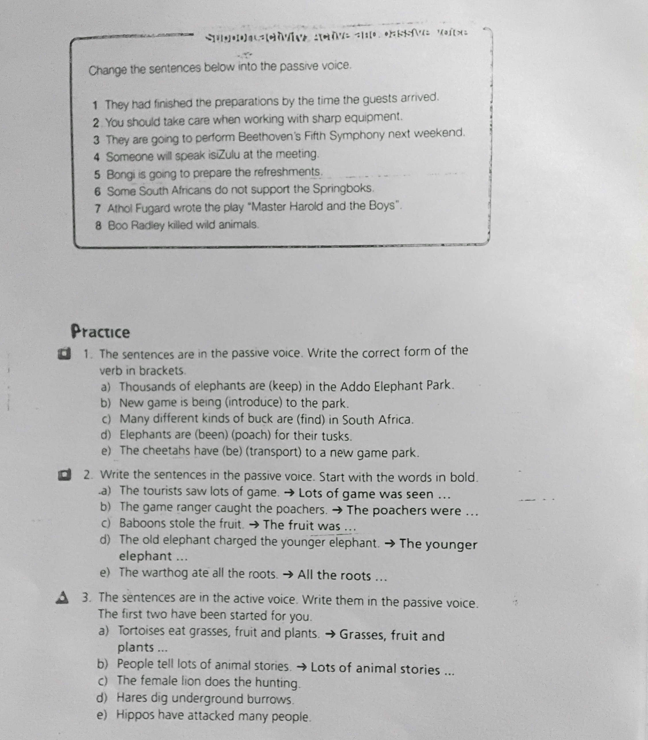 Change the sentences below into the passive | StudyX