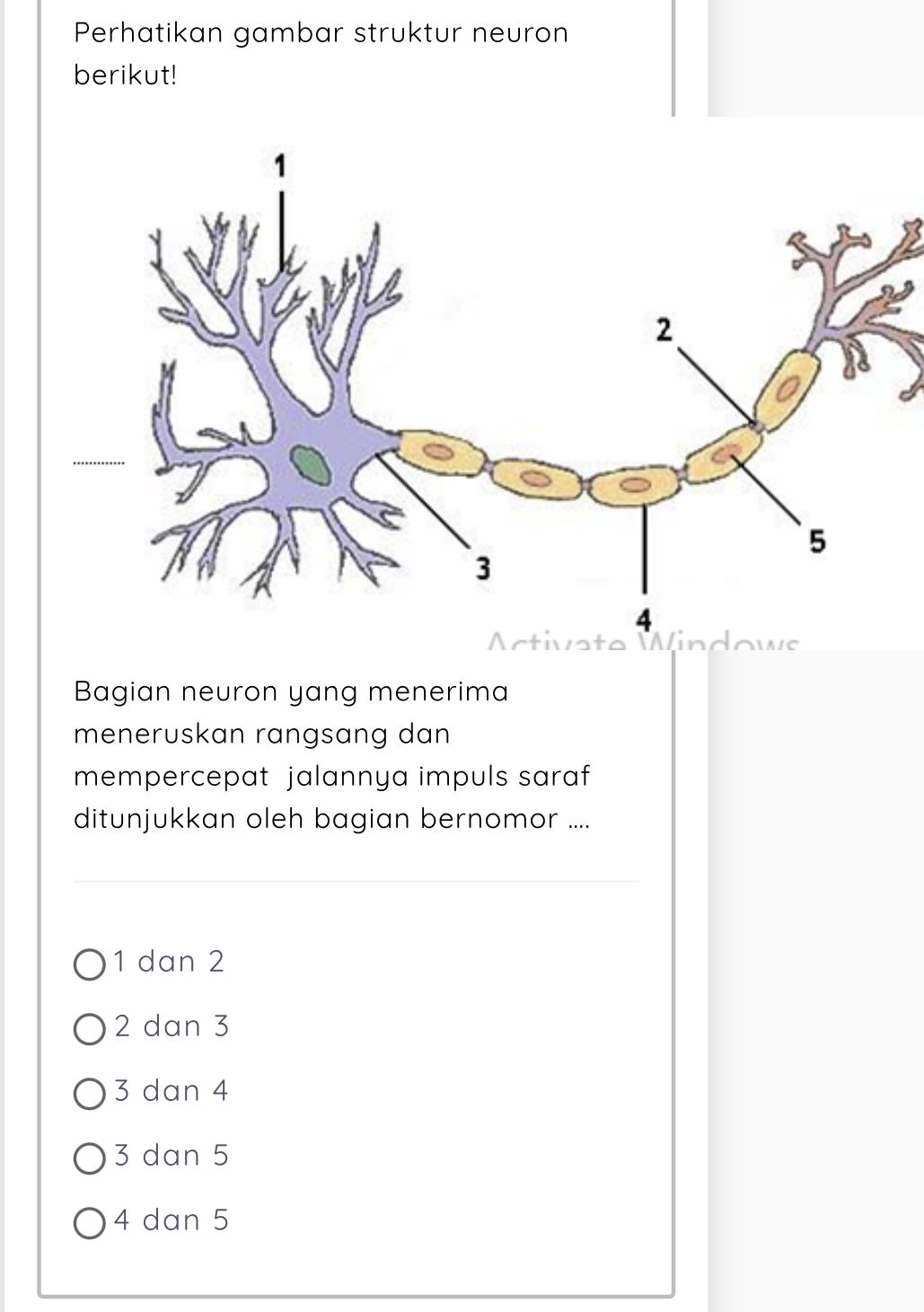 Perhatikan gambar struktur neuron berikut! | StudyX