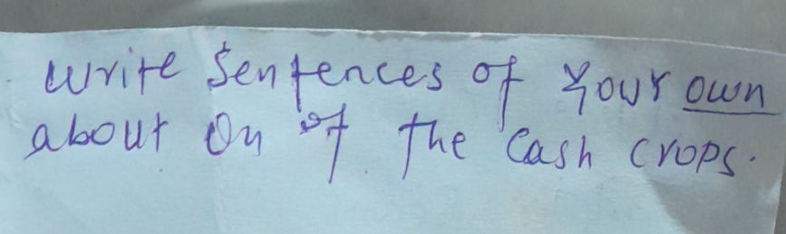 Write sentences of your own about on of the | StudyX