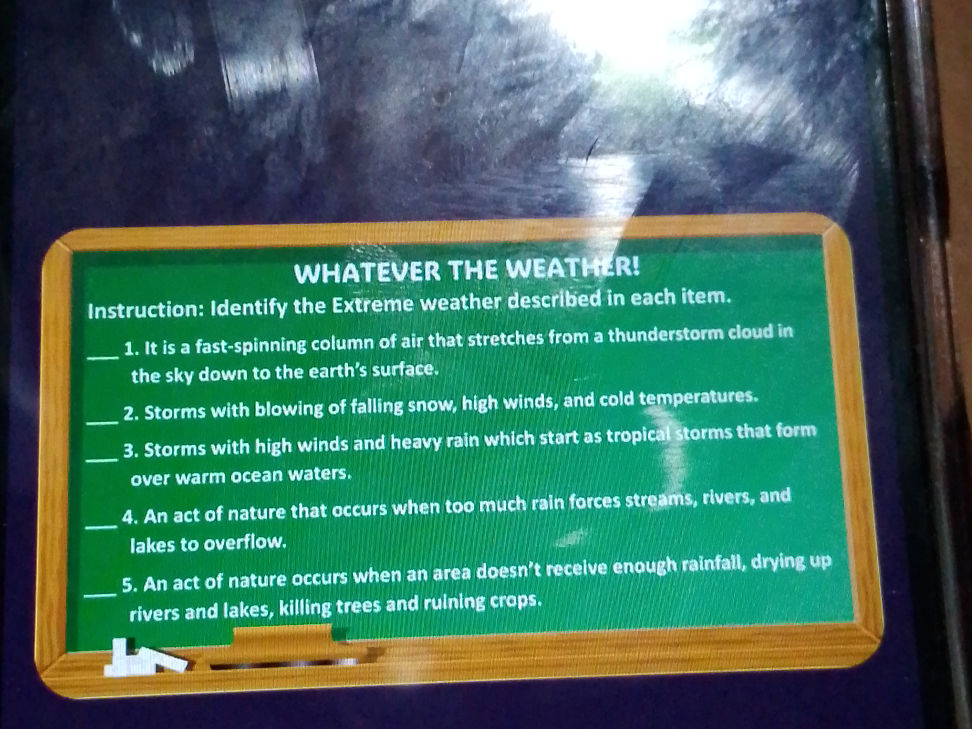 WHATEVER THE WEATHER! Instruction: Identify | StudyX