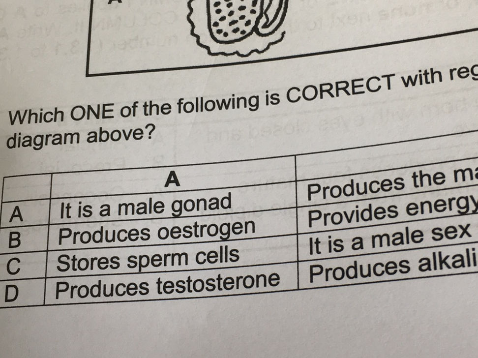 Which ONE of the following is CORRECT with | StudyX