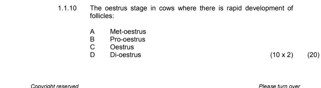 The oestrus stage in cows where there is | StudyX