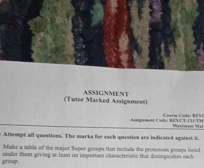 Attempt all questions. The marks for each | StudyX