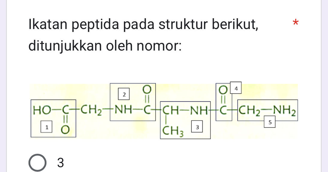 Ikatan peptida pada struktur berikut, | StudyX