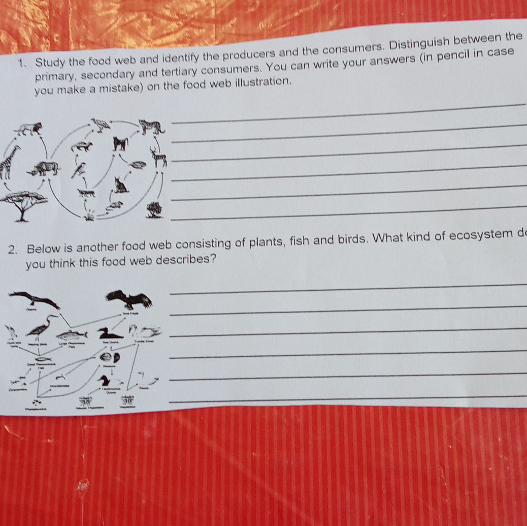 1. Study the food web and identify the | StudyX
