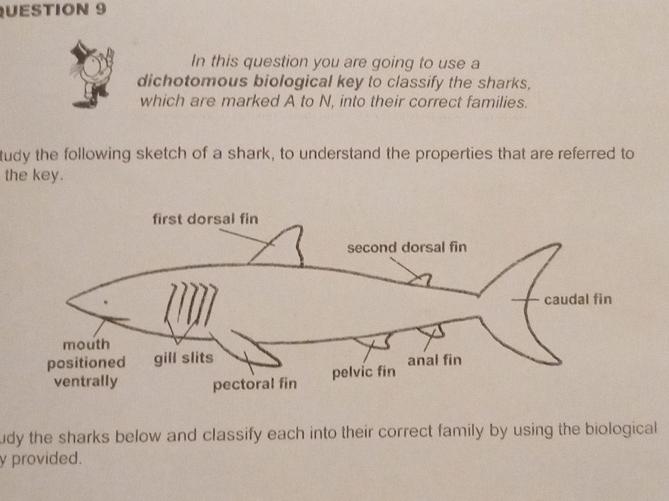 In this question you are going to use a | StudyX