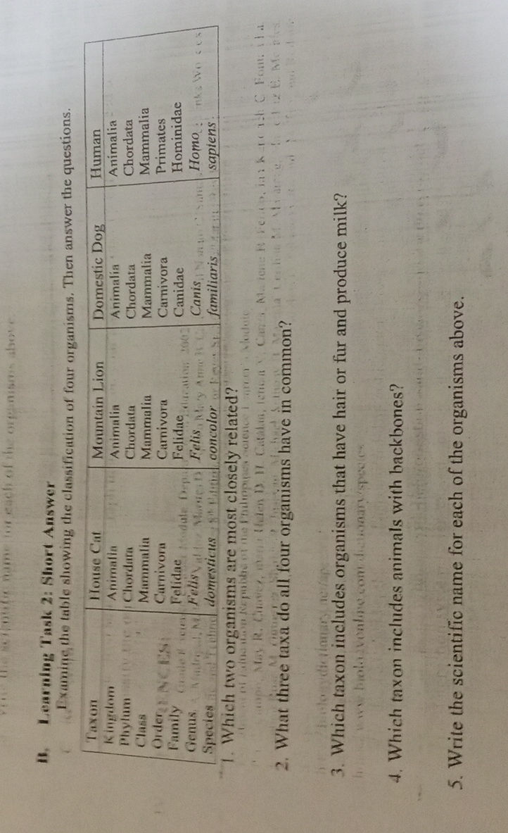 Examine the table showing the classification | StudyX
