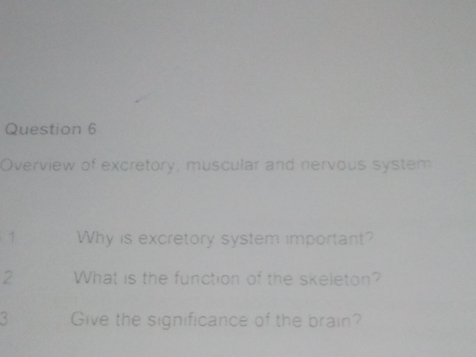 Question 6 Overview of excretory, muscular | StudyX