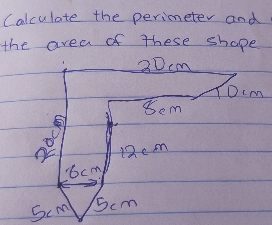 Calculate the perimeter and the area of | StudyX