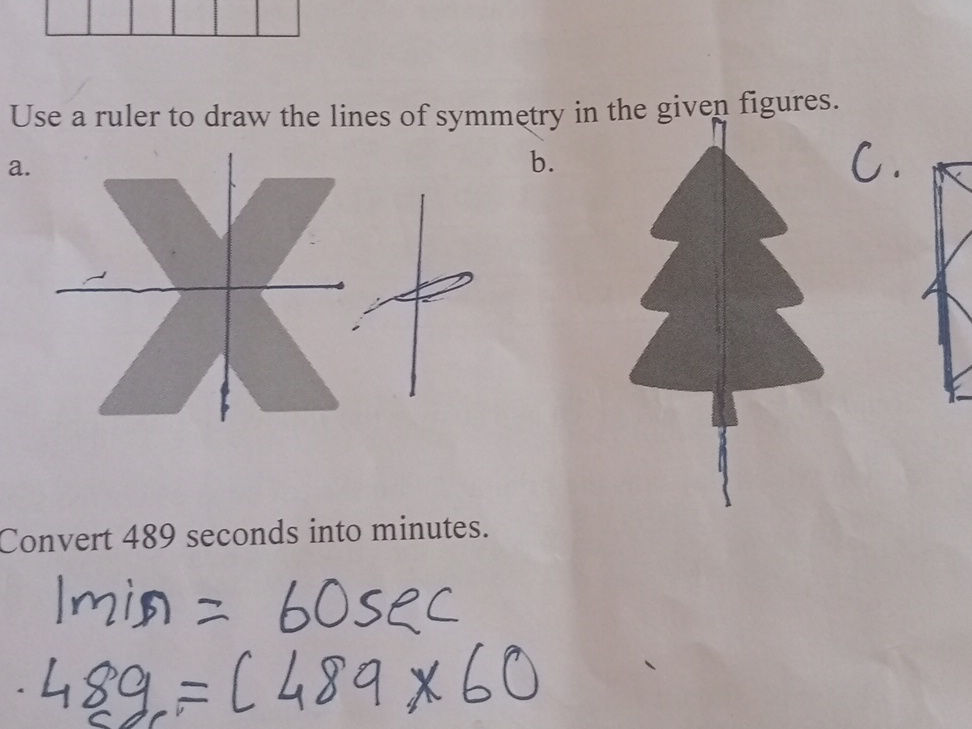 Use a ruler to draw the lines of symmetry in | StudyX
