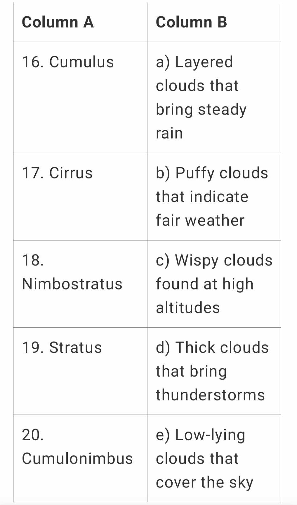 | Column A | Column B | |---|---| | 16. | StudyX