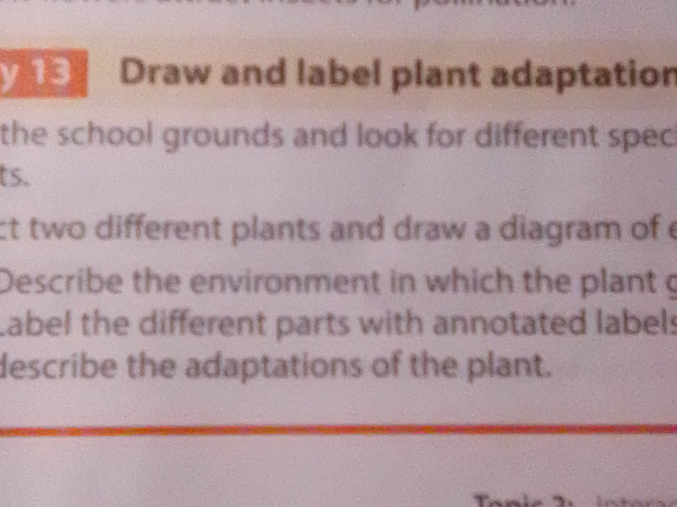 Draw and label plant adaptation Select two | StudyX