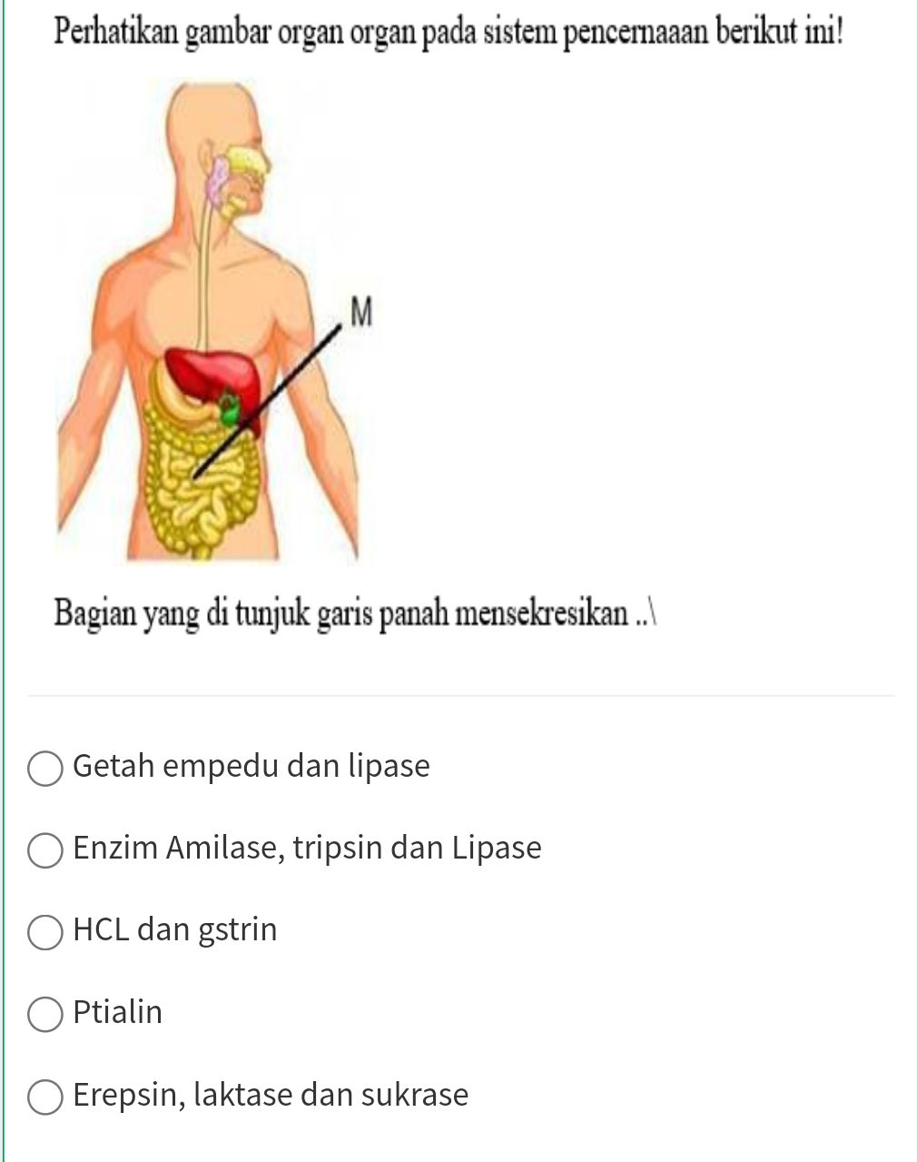 Perhatikan gambar organ organ pada sistem | StudyX