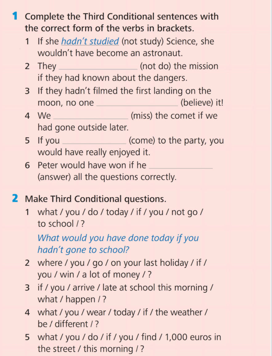 1 Complete the Third Conditional sentences | StudyX