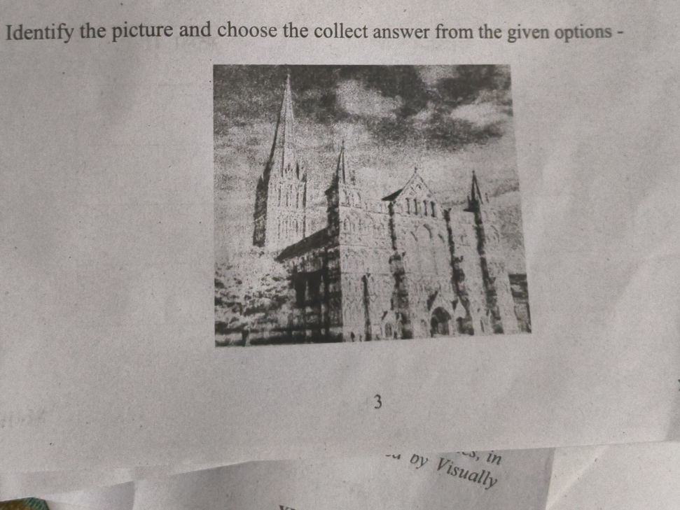 Identify the picture and choose the collect | StudyX
