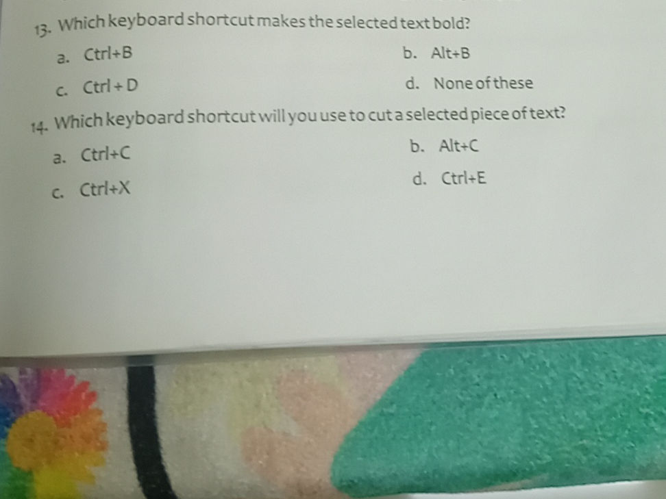 13. Which keyboard shortcut makes the | StudyX