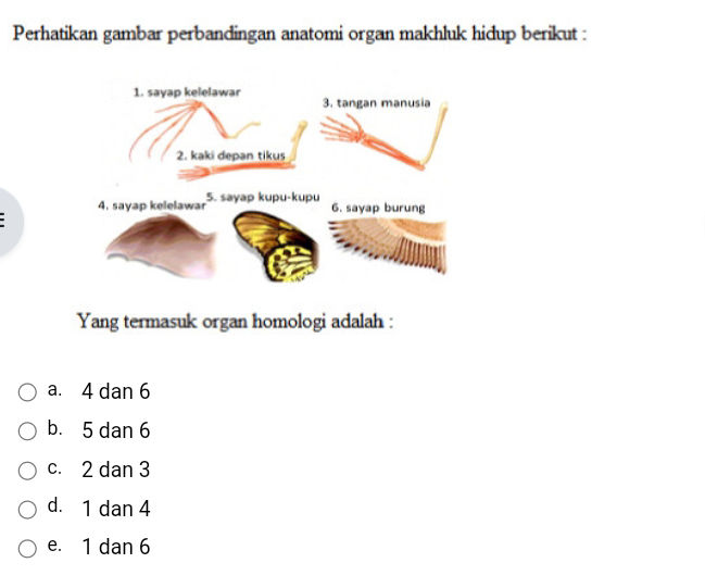 Perhatikan gambar perbandingan anatomi organ | StudyX