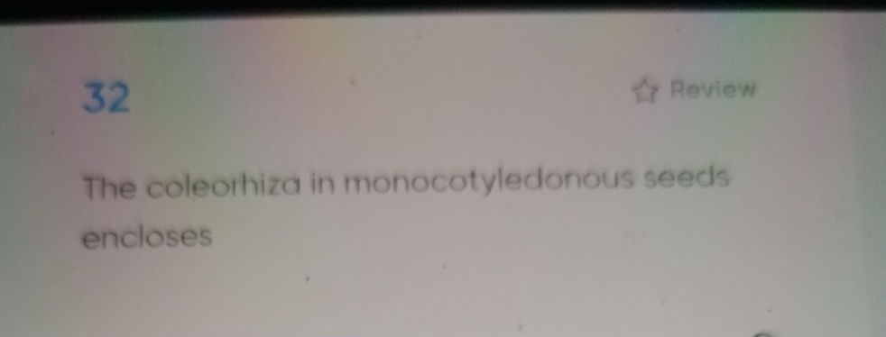 The coleorhiza in monocotyledonous seeds