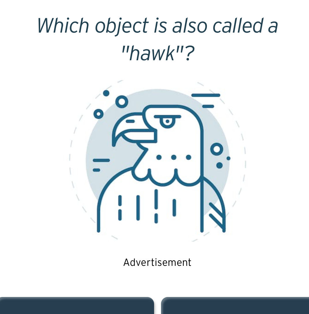 Which object is also called a "hawk"? | StudyX