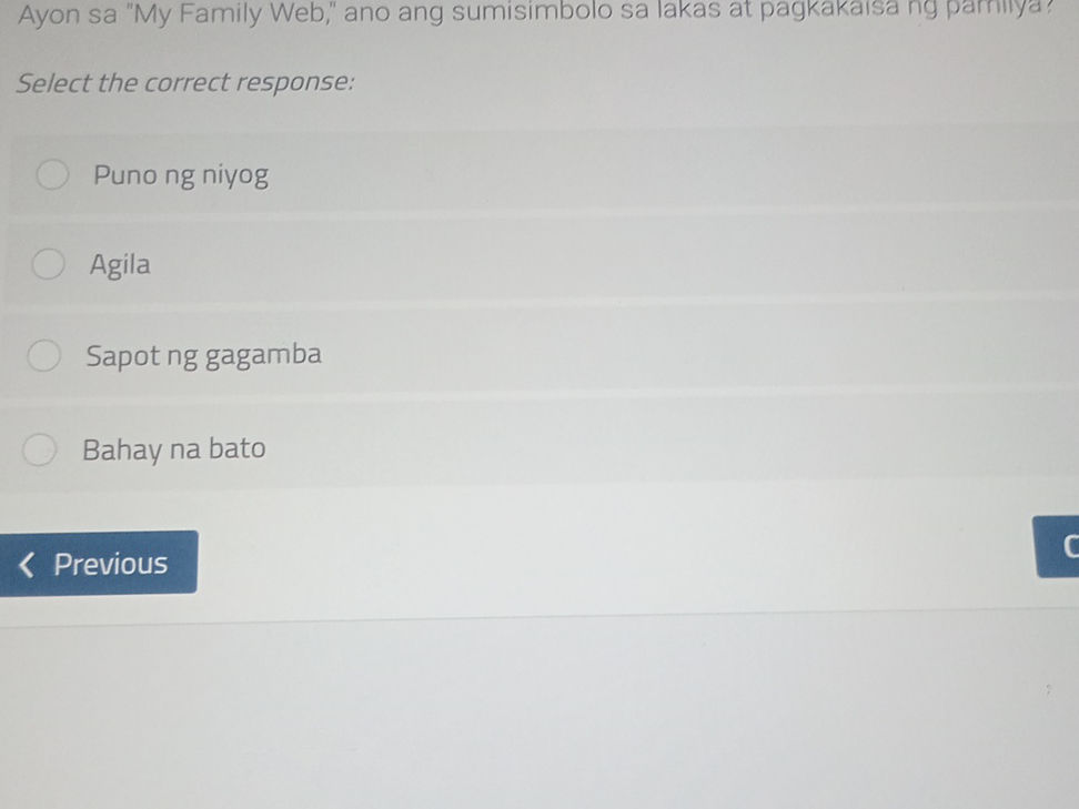 Ayon sa "My Family Web," ano ang sumisimbolo | StudyX