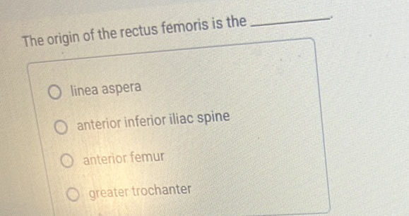 The origin of the rectus femoris is the O | StudyX