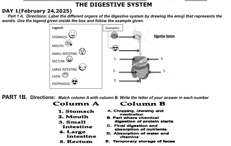 Part 1 A. Directions: Label the different | StudyX