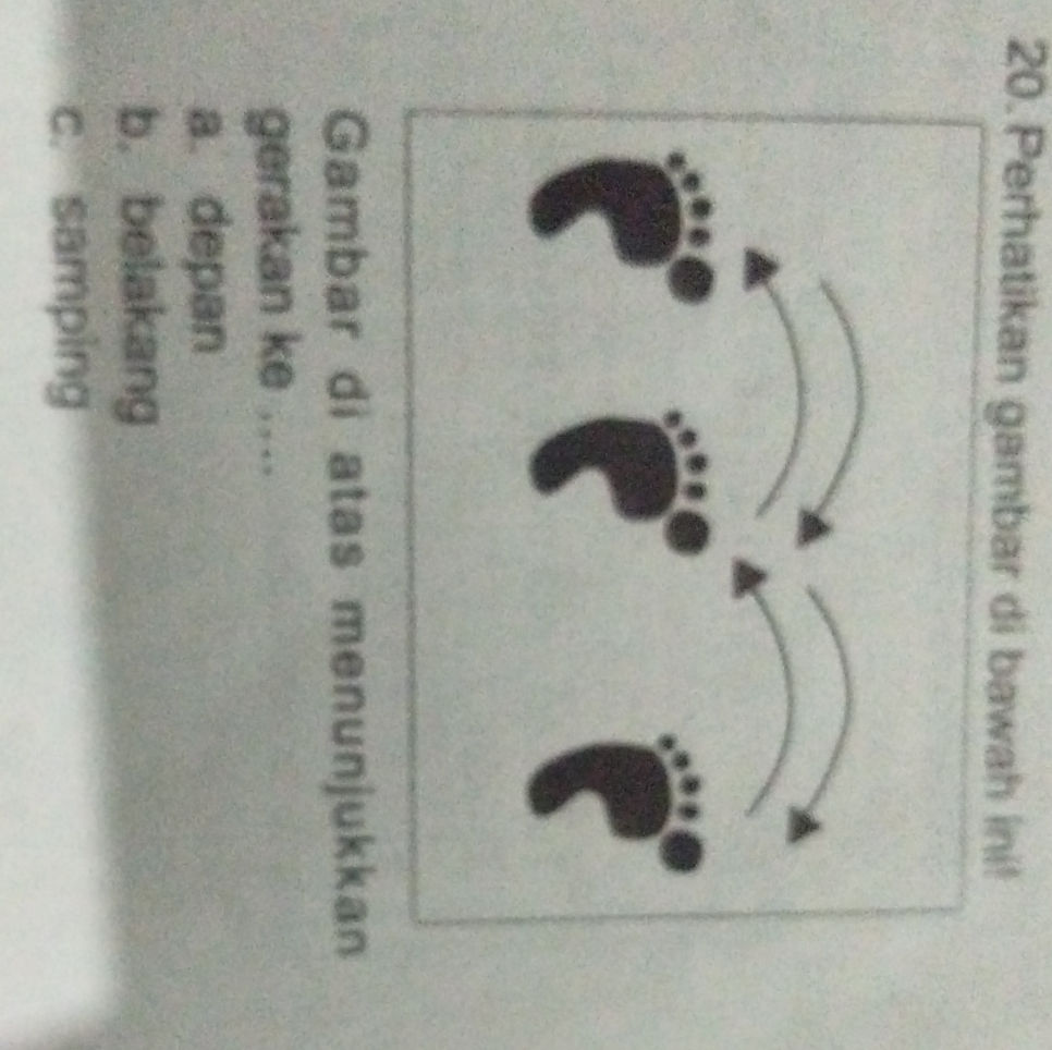 20. Perhatikan gambar di bawah ini! Gambar | StudyX