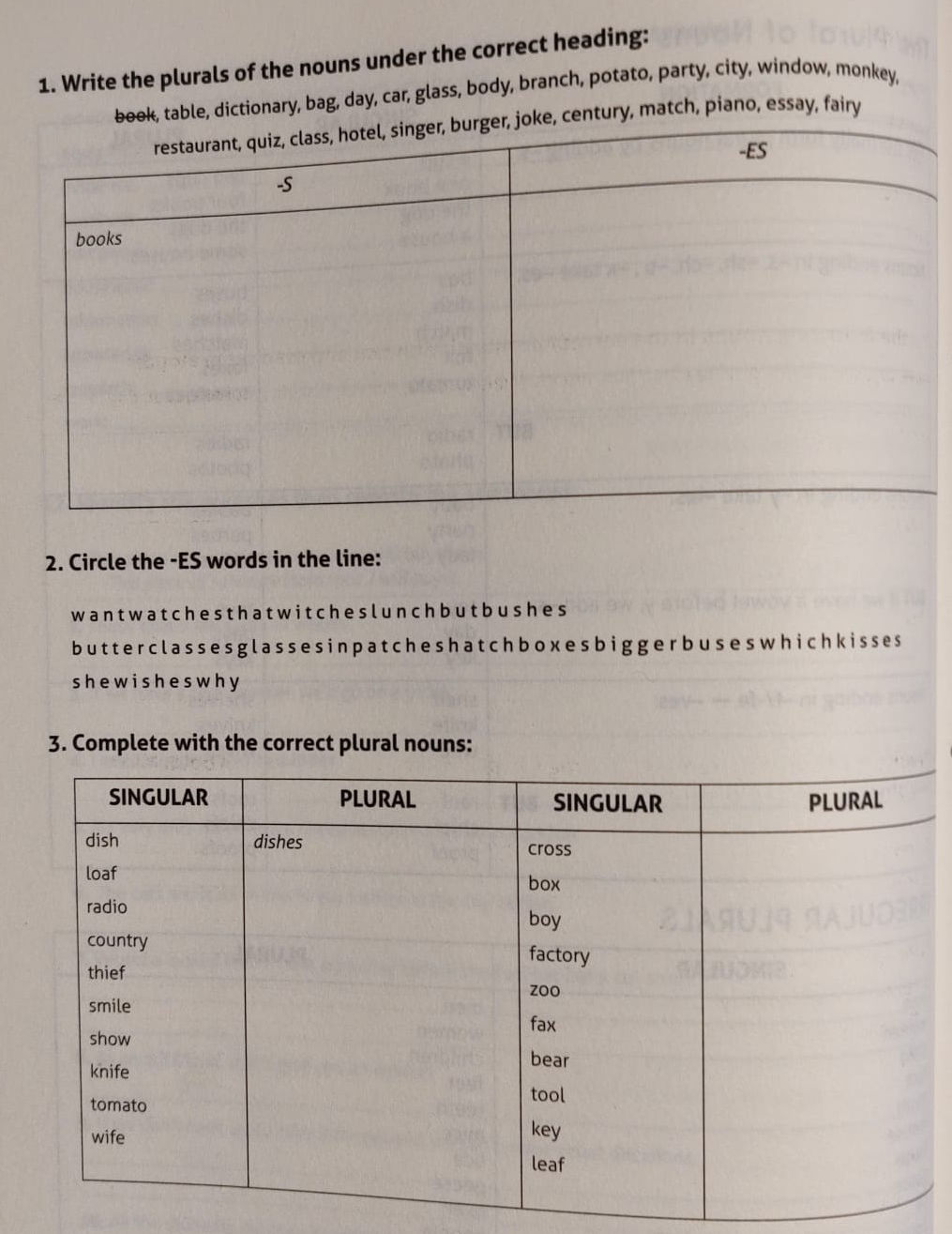 1. Write the plurals of the nouns under the | StudyX