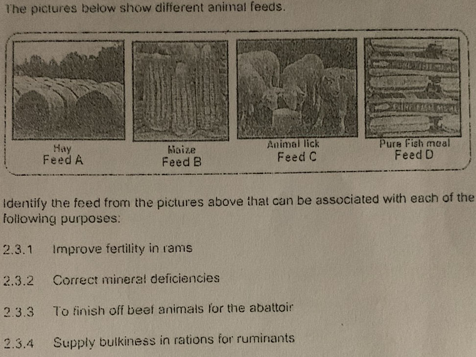 The pictures below show different animal | StudyX