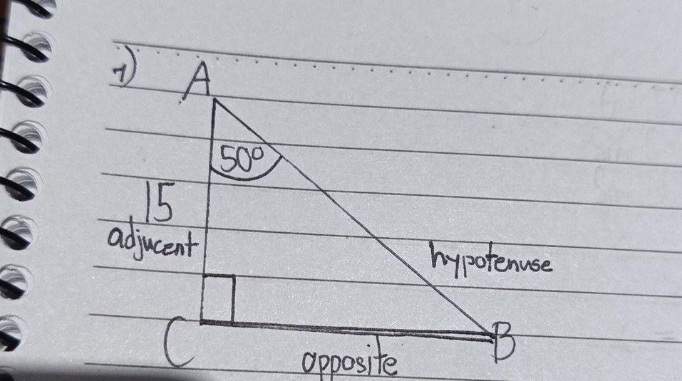 1) A right triangle is shown with angle A = | StudyX