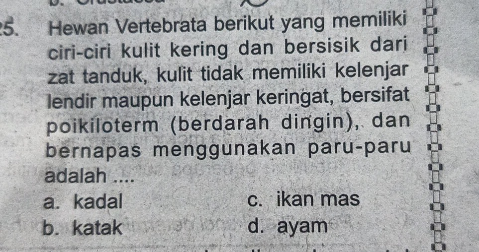 25. Hewan Vertebrata berikut yang memiliki | StudyX