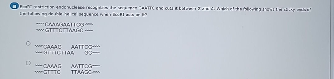 EcoRI restriction endonuclease recognizes | StudyX