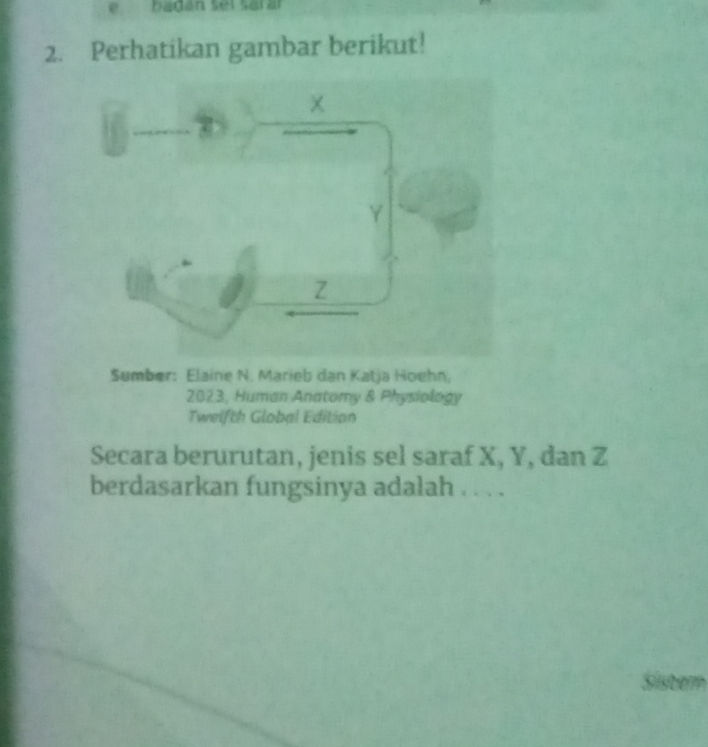 2. Perhatikan gambar berikut! X Y Z | StudyX