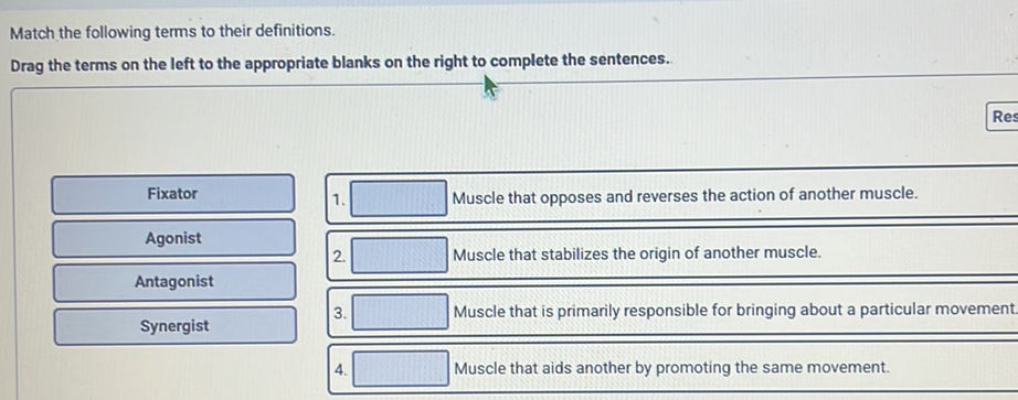 Match the following terms to their | StudyX