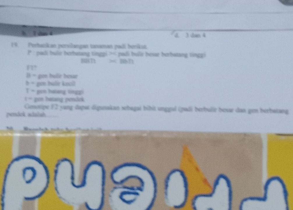 19. Perhatikan persilangan tanaman padi | StudyX