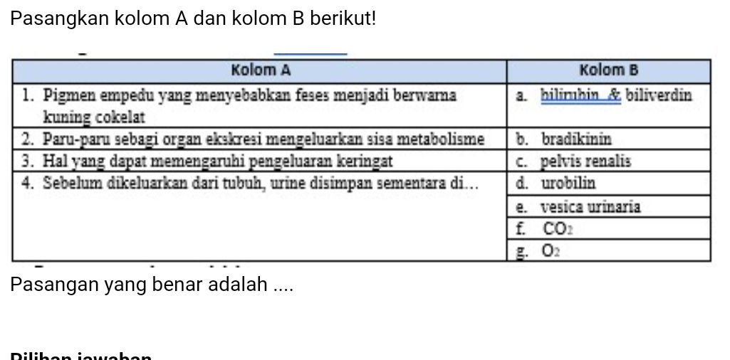 Pasangkan kolom A dan kolom B berikut! | | StudyX