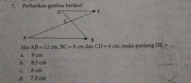 7. Perhatikan gambar berikut! ``` D / \ | StudyX