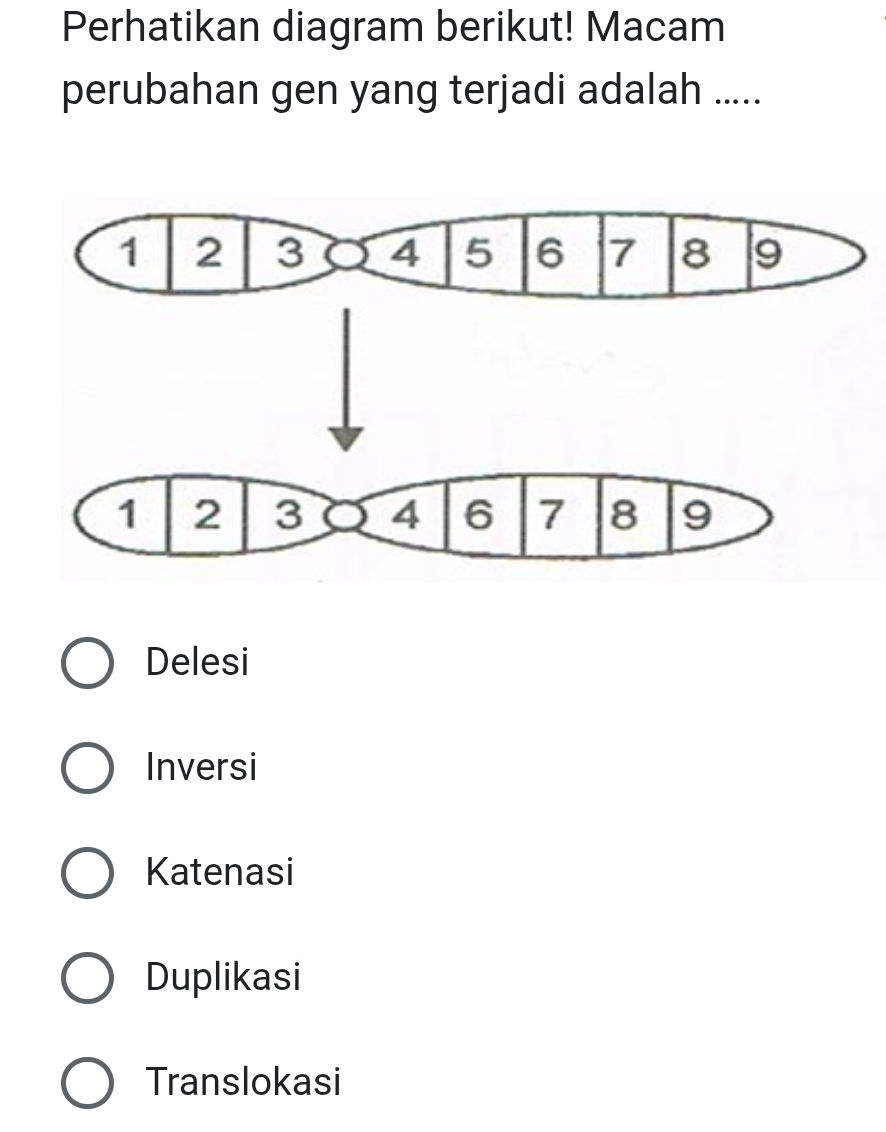Perhatikan diagram berikut! Macam perubahan | StudyX