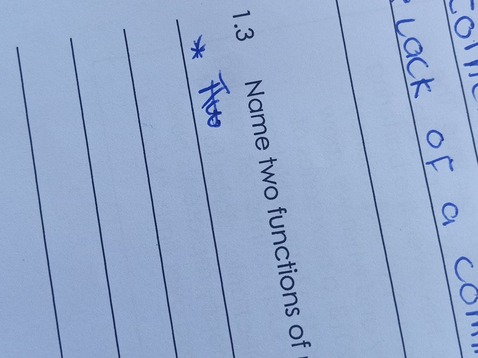 Functions of Two | StudyX