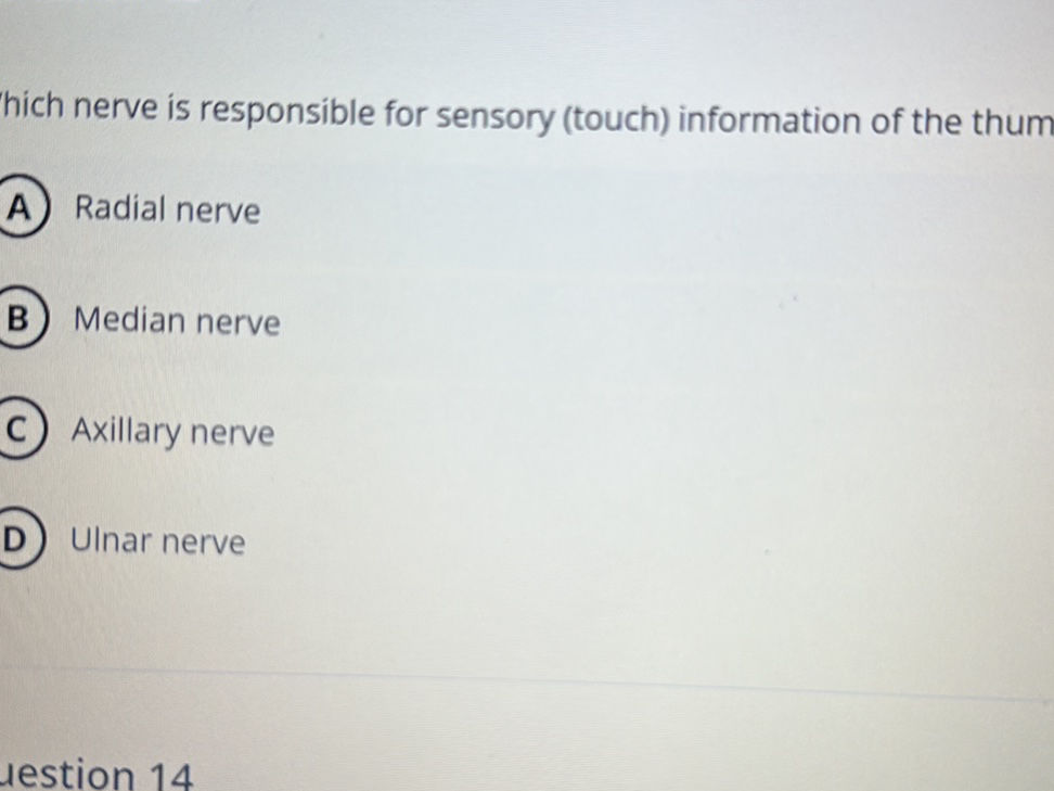 Which nerve is responsible for sensory | StudyX