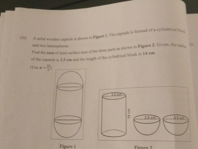(iii) A solid wooden capsule is shown in | StudyX
