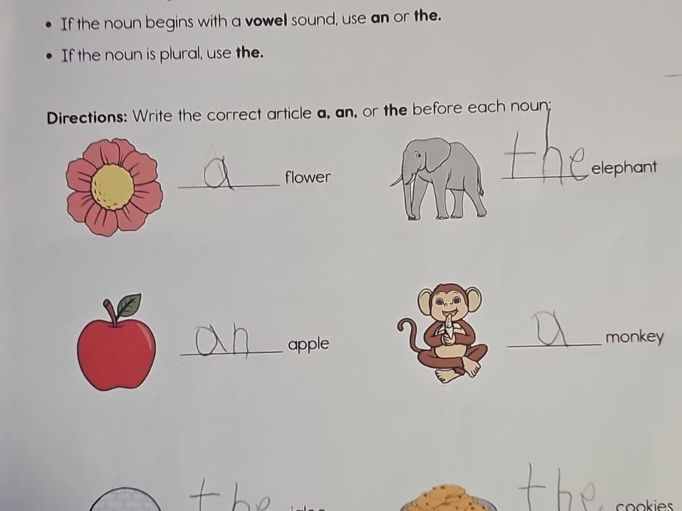 Directions: Write the correct article a, an, | StudyX