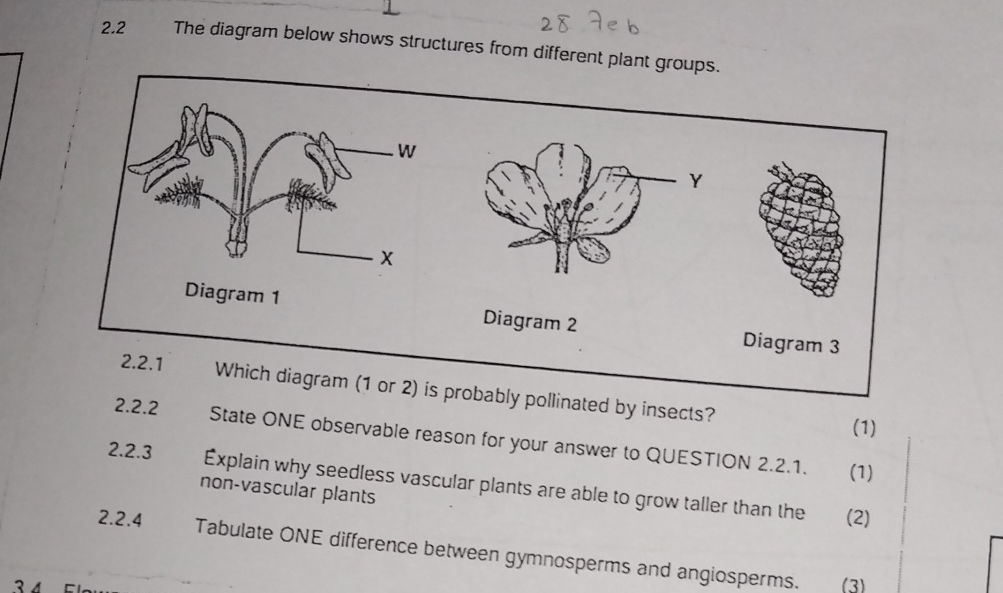 2.2 The diagram below shows structures from | StudyX