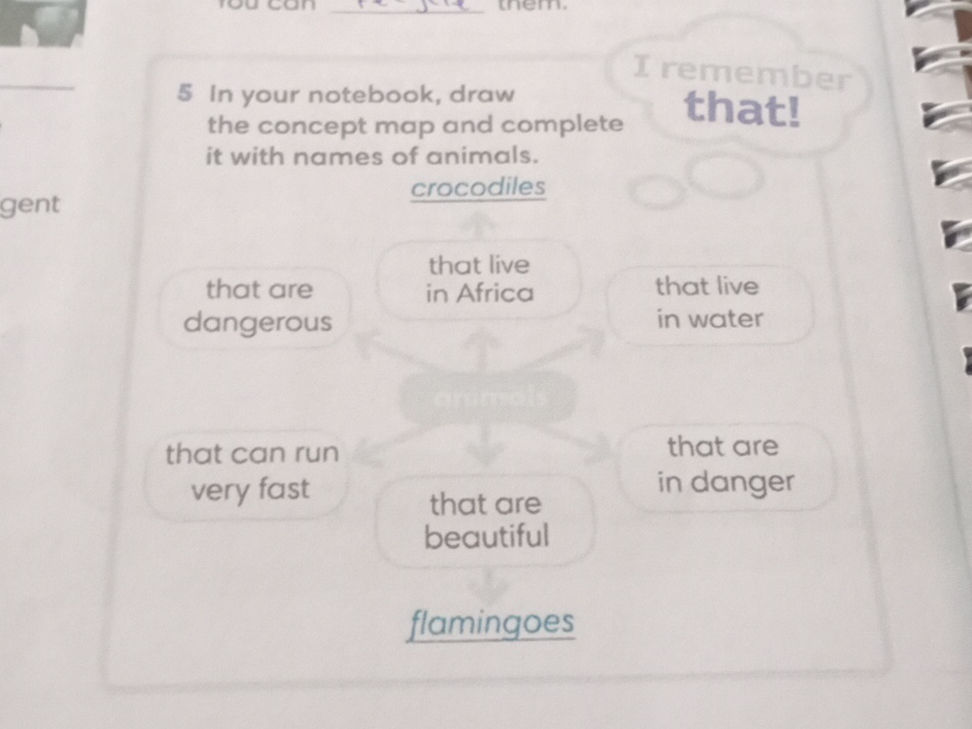 5 In your notebook, draw the concept map and | StudyX
