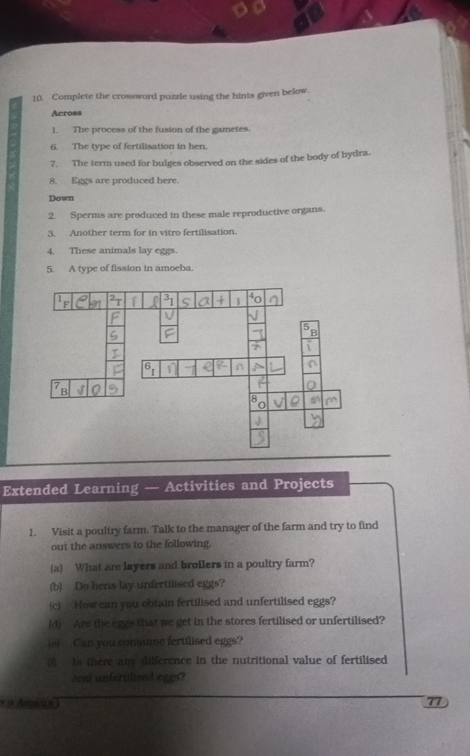 10. Complete the crossword puzzle using the | StudyX
