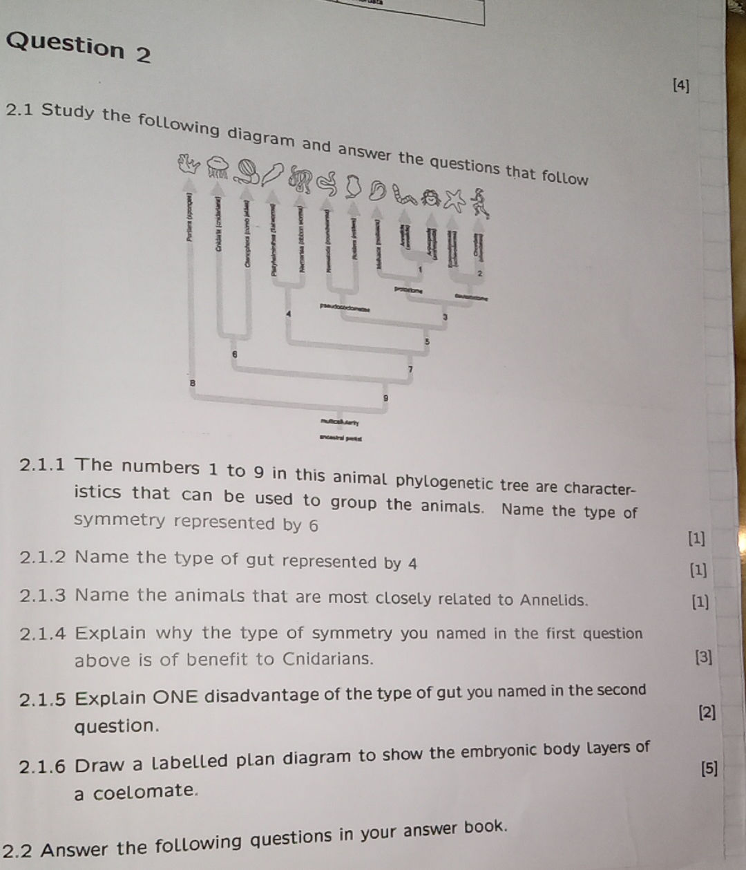2.1 Study the following diagram and answer | StudyX